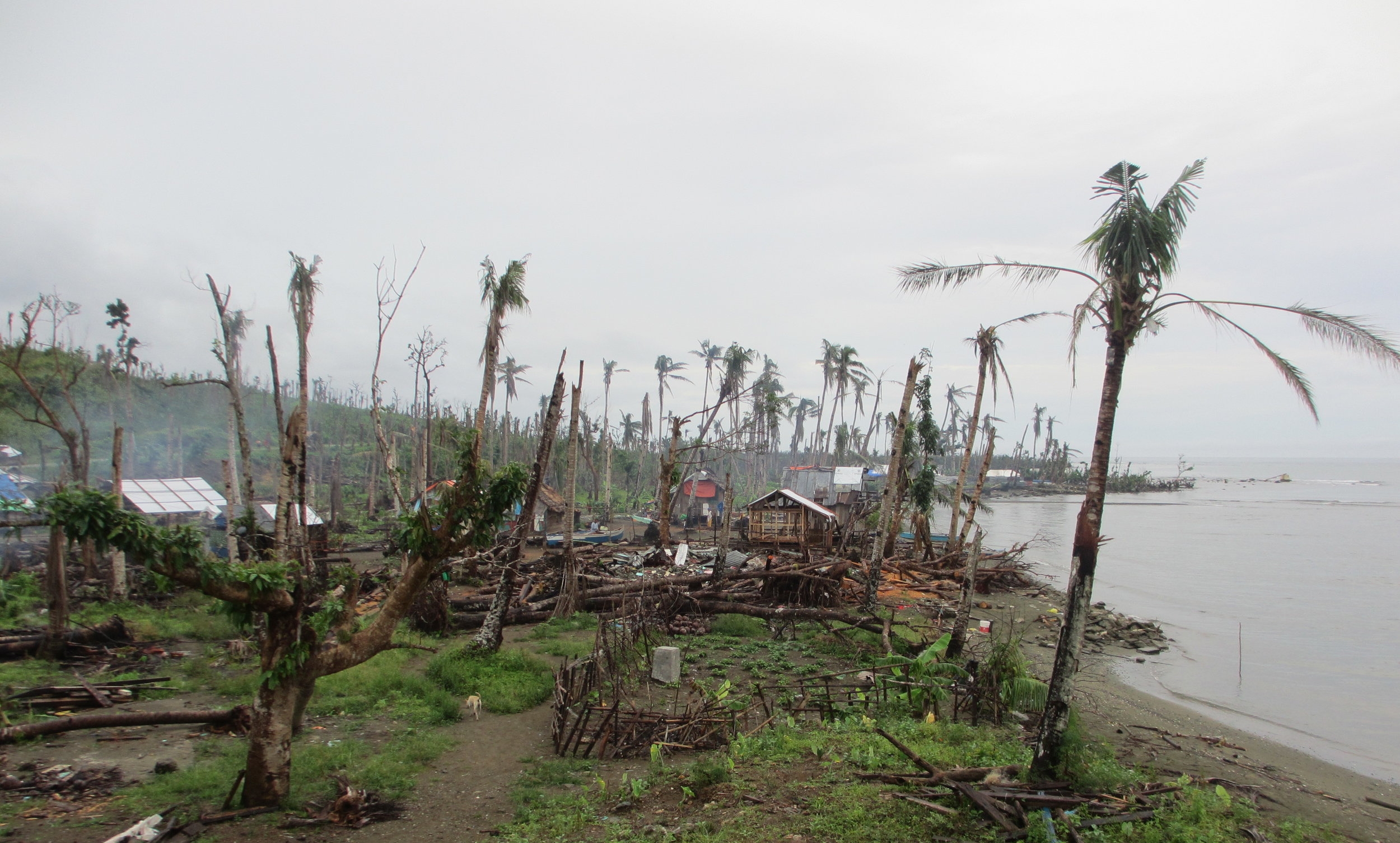 UN Moves Forward on Task Force to Protect So-Called "Climate Refugees ...